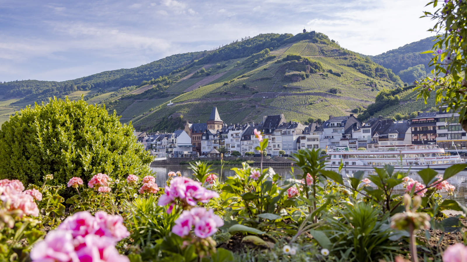 Homepage - Website Zell (Mosel) | Zell (Mosel)