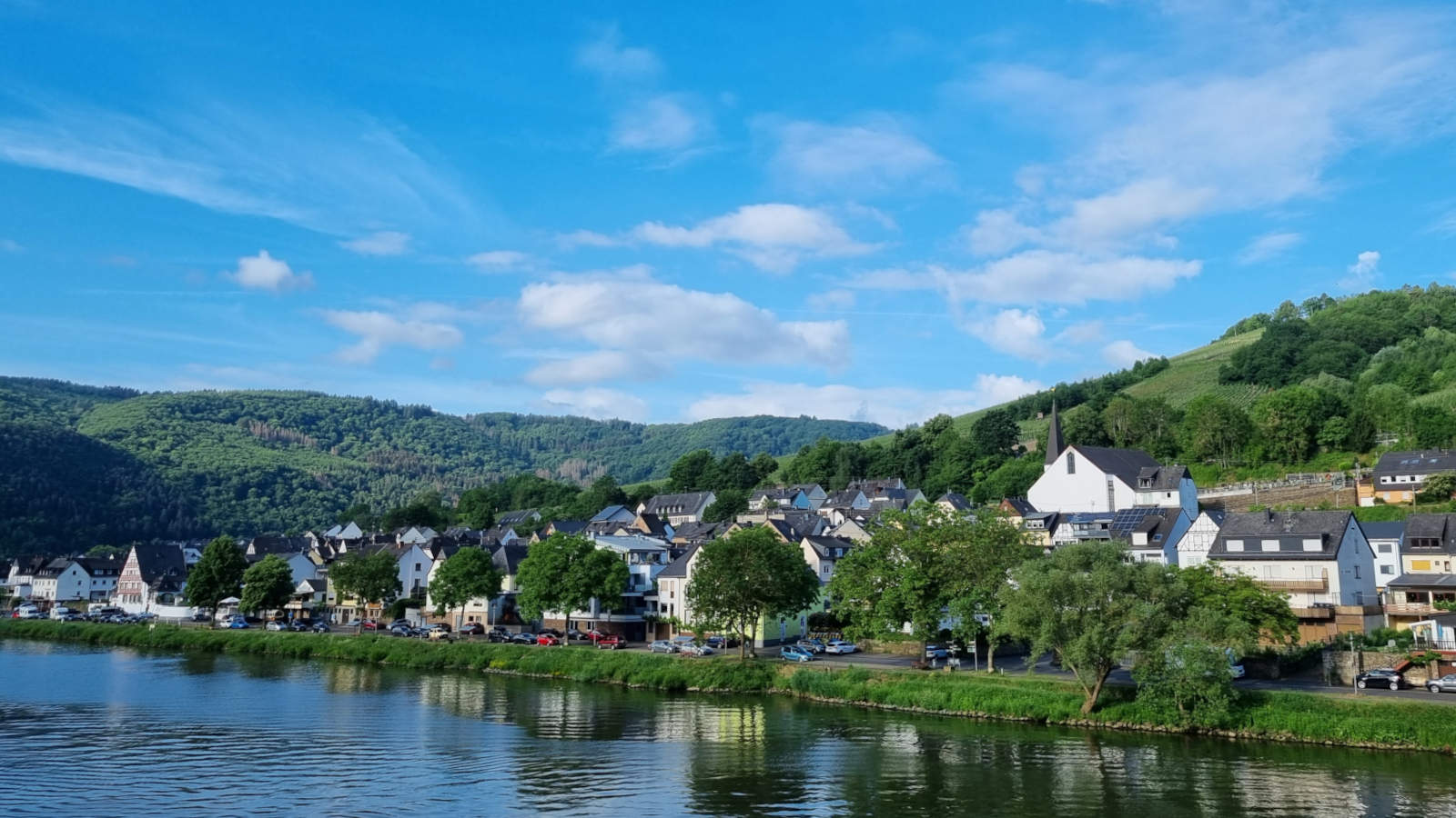 Homepage - Website Zell (Mosel) | Zell (Mosel)
